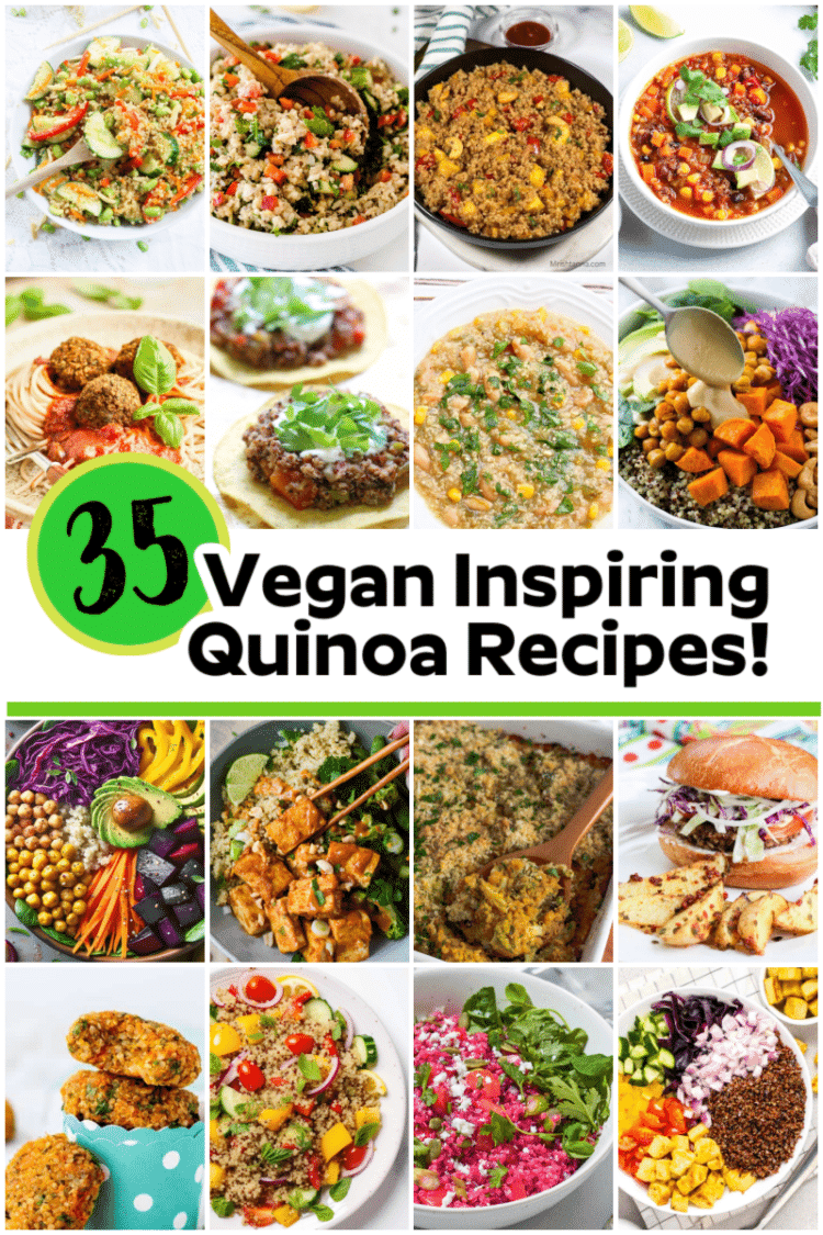 50 Delicious Vegan Recipes Using Chia Seeds Daily Vegan Meal 50 Delicious Vegan Recipes Using Chia Seeds Daily Vegan Meal