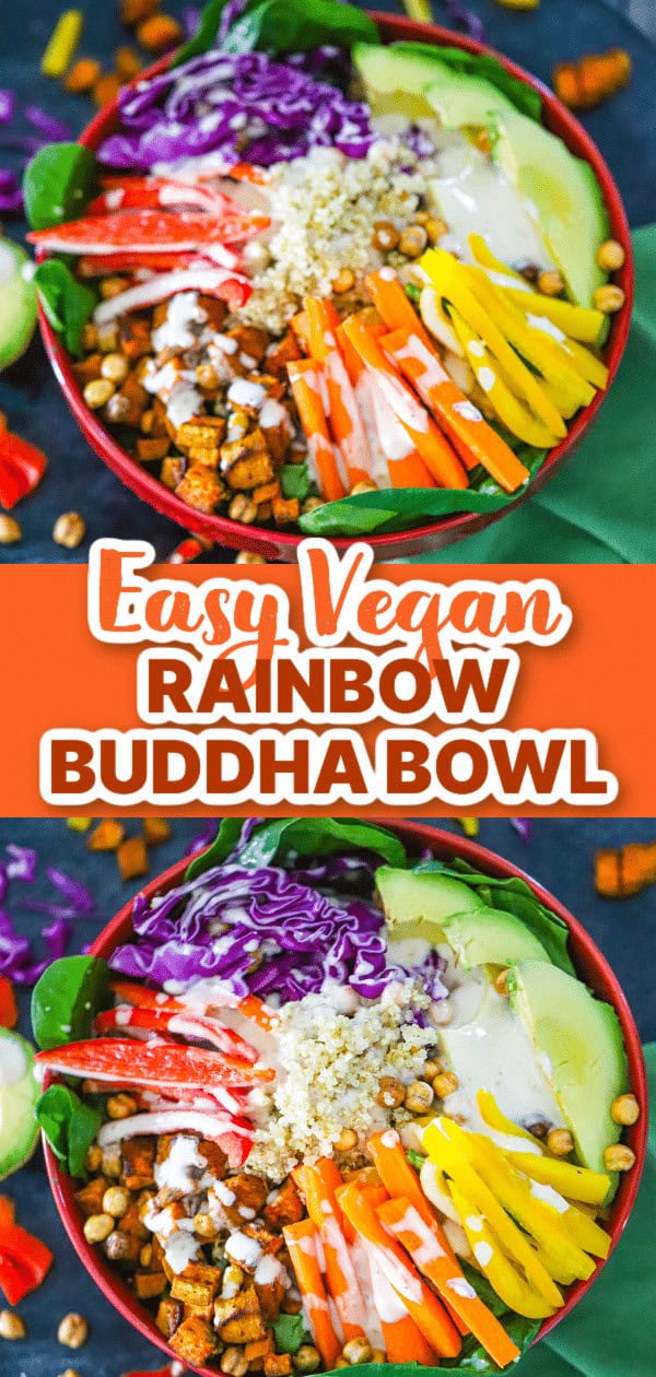 Vegan Rainbow Buddha Bowl: A Culinary Adventure! - Daily Vegan Meal