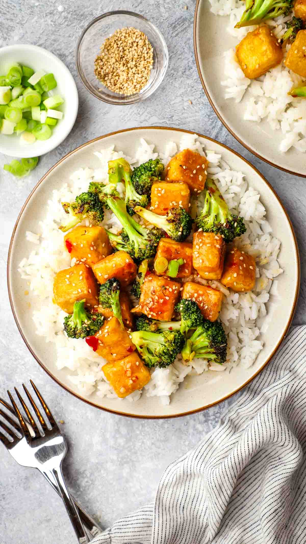 50 Vegan Recipes using Tofu - Daily Vegan Meal